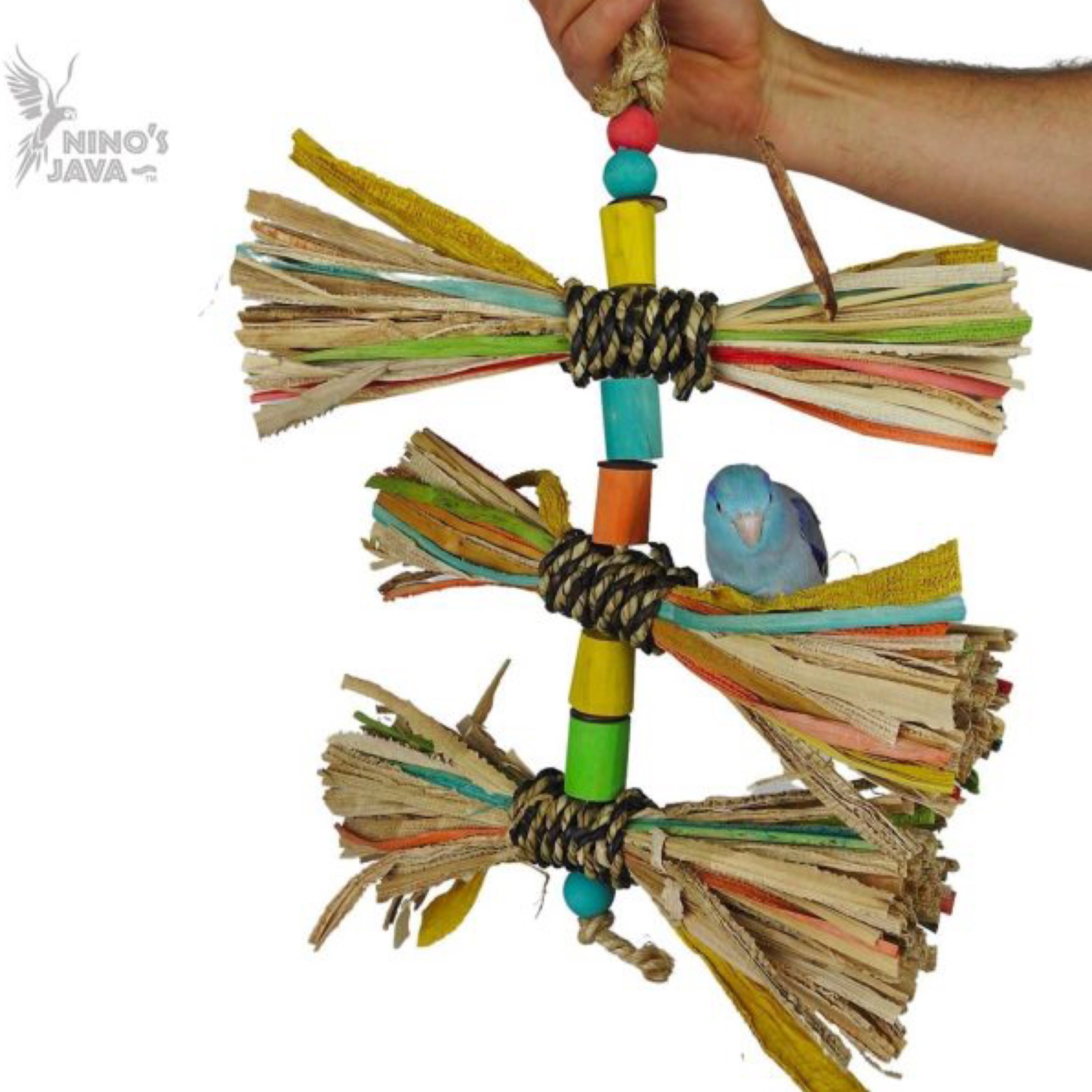 Nino Java Mr knots | Jonath's Animal Kingdom