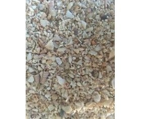 Murphy's Medium Shell Grit | Jonath's Animal Kingdom